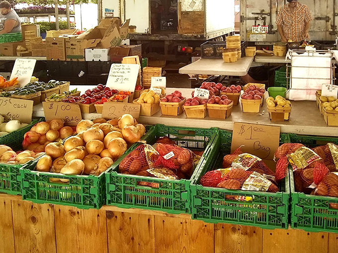 Nature's color palette on full display &ndash; these farm-fresh fruits aren't just produce, they're edible works of art waiting to become tomorrow's pie.