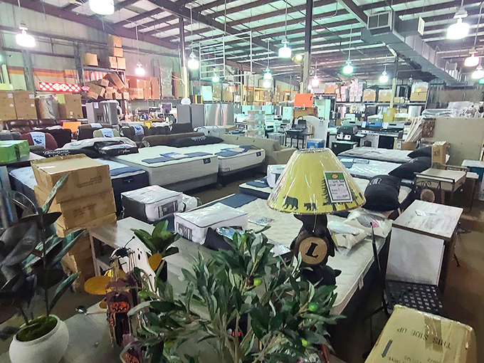 Furniture paradise where your living room dreams don't require selling a kidney or two.
