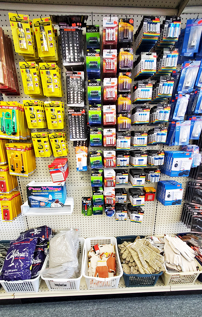 Need batteries? They've got walls of them. The electronics section is a tech enthusiast's dream where yesterday's premium gadgets become today's affordable finds.
