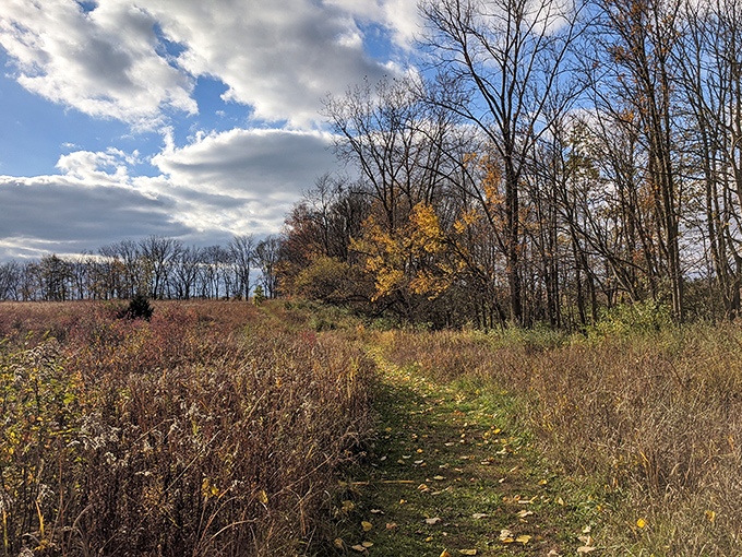 Nature trails just minutes from downtown offer the kind of peaceful escape that city dwellers pay therapists to describe during their lunch breaks.