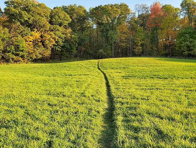 Follow the path less traveled. This inviting trail through vibrant meadows leads adventurous souls into a forest of geological wonders.