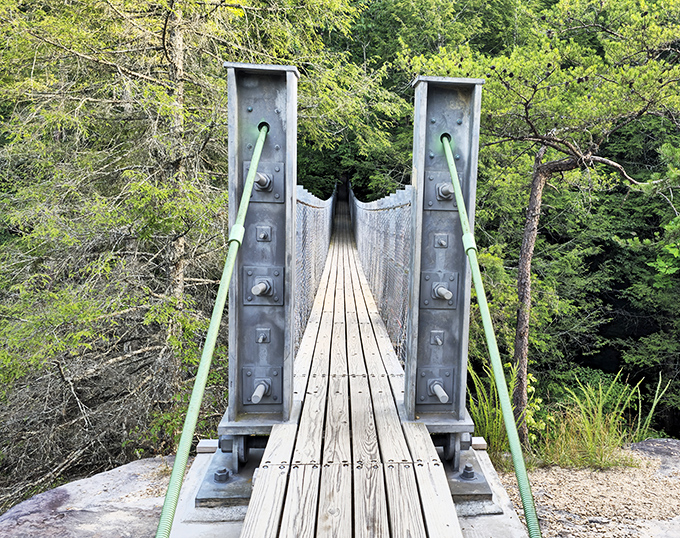 This suspension bridge isn't just a crossing—it's an invitation to adventure, swaying gently as if to remind you that the best journeys involve a little uncertainty.
