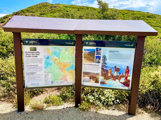 Not all who wander are lost, but these informational signs ensure you'll know exactly what you're looking at. Knowledge with a view!