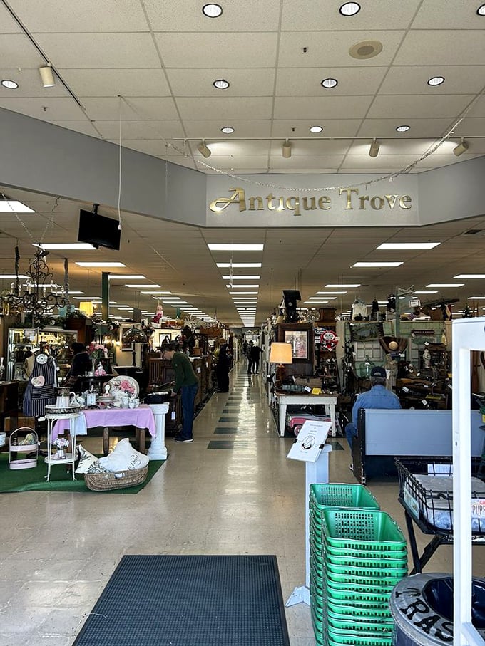 Long, gleaming aisles stretch before you like a museum where everything happens to be for sale. Prepare to lose track of time.