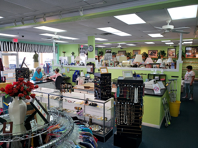 Treasure hunting paradise with organization that would make Marie Kondo weep with joy. Every corner sparks potential discoveries.