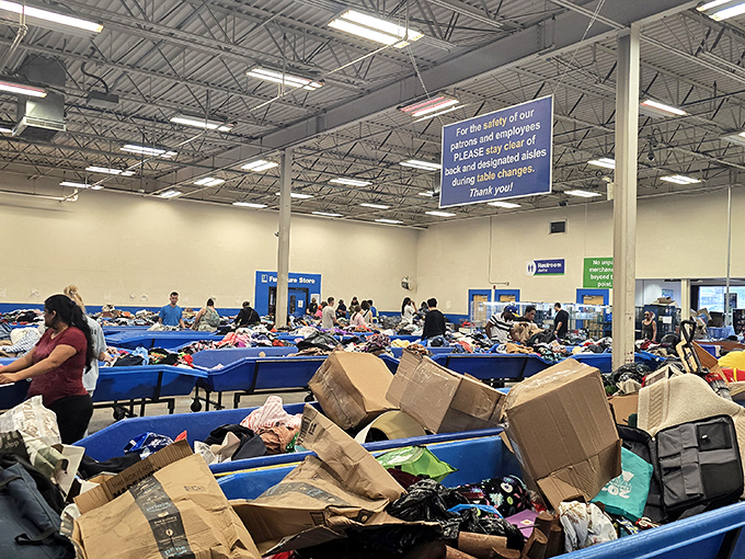 The retail equivalent of the Serengeti Plain &ndash; vast, wild, and teeming with potential discoveries. Those blue bins contain multitudes.