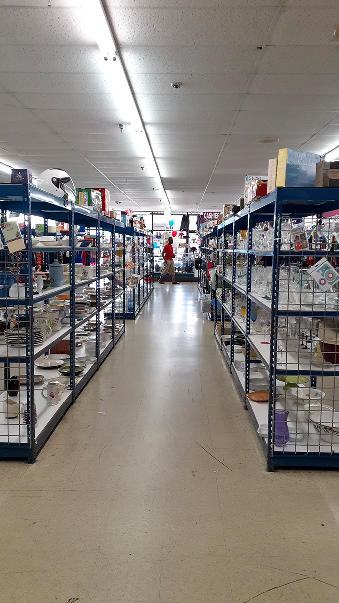 These aisles of housewares hold more stories than a library &ndash; and better deals too.