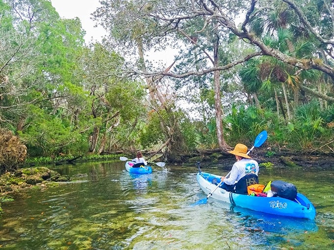 Paddling through nature's own dining room where tomorrow's dinner swims beneath your kayak.