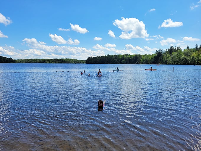 Summer bliss in liquid form: swimmers and paddlers dot the blue expanse under a sky so perfect it looks Photoshopped by Mother Nature herself.