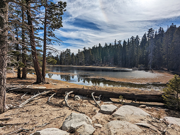 Mirror, mirror on the mountain—this alpine lake reflects not just trees, but your worries disappearing into the crisp mountain air.