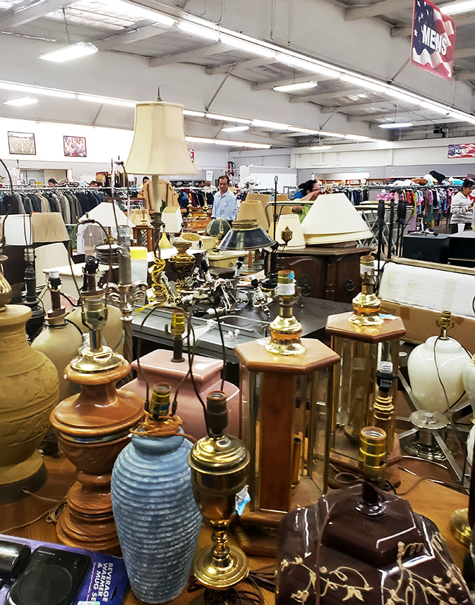 Lamp heaven! Where vintage lighting fixtures gather like guests at a reunion, each with stories to tell and rooms to illuminate.