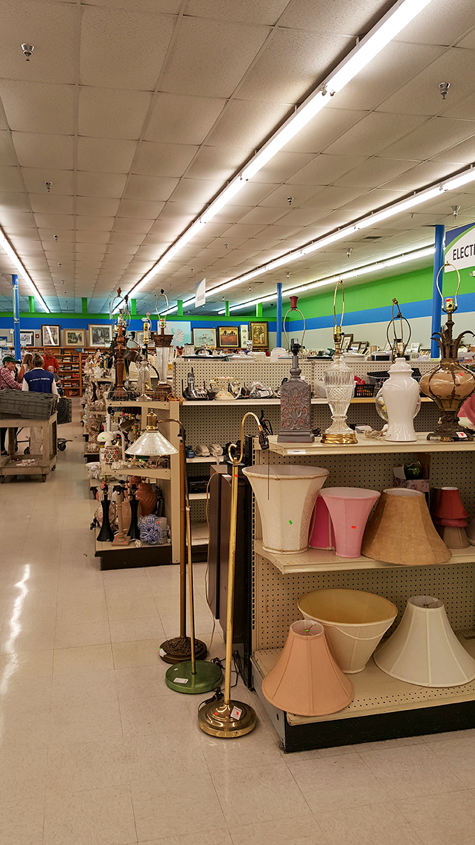 The lamp forest! Where vintage lighting fixtures gather to tell stories of living rooms past and await their second act.