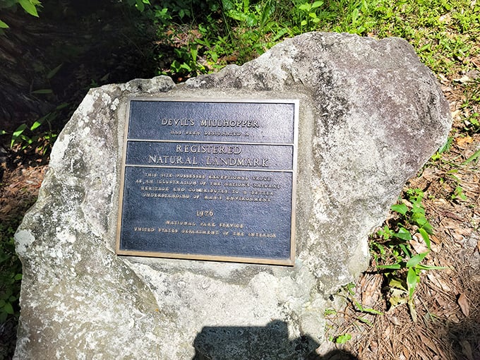 This plaque confirms you're at a genuine natural landmark, not just some fancy hole. Mother Nature's credentials are officially impressive.
