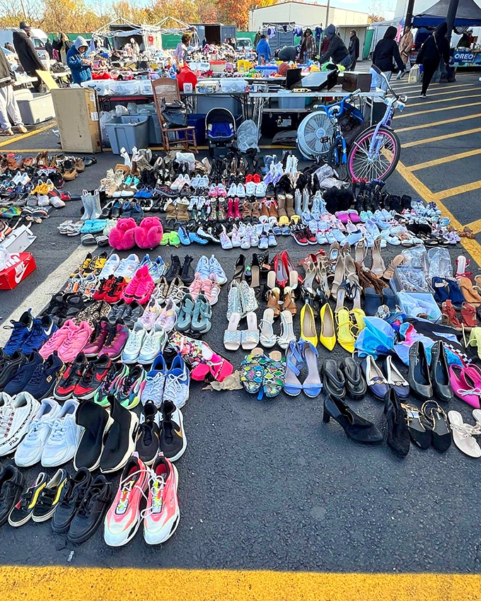 This spectacular shoe symphony proves one person's closet cleanout becomes another's footwear fairy tale ending.