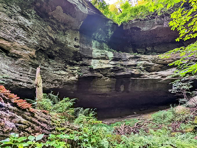 Nature's cathedral! This impressive rock shelter has been hosting visitors since long before selfies were invented.