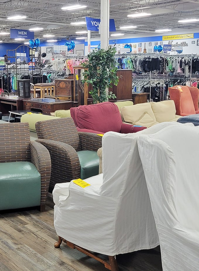 The furniture section: where mid-century modern meets "my grandmother's living room," all at prices that won't require a second mortgage.