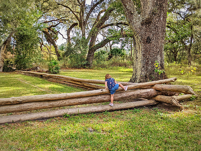 Simple pleasures are often the best—like watching a child discover the joy of balancing on logs beneath towering oaks.