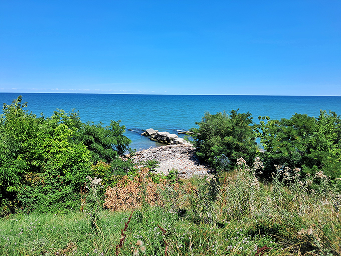 Nature frames the perfect view at Fairport Harbor, where lush greenery meets the brilliant blues of Lake Erie in a landscape worthy of a postcard.