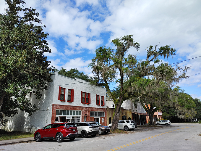 Cholokka Boulevard stretches before you, a living museum where every building has stories to tell and not a chain store in sight.