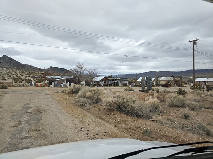 Main Street, Darwin&mdash;where rush hour means a tumbleweed and a jackrabbit racing for the same patch of shade.