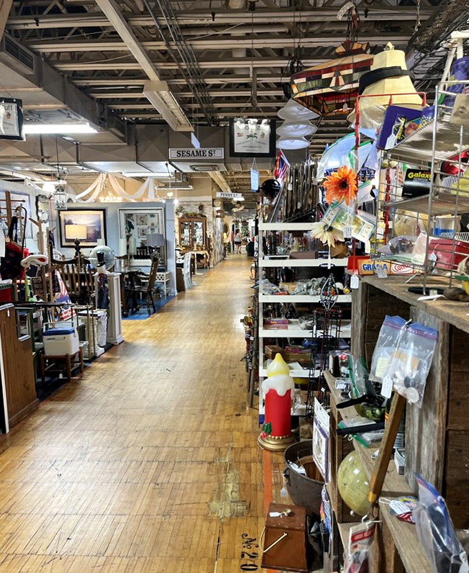 These endless corridors of curiosities stretch further than your patience for assembling IKEA furniture, but infinitely more rewarding.