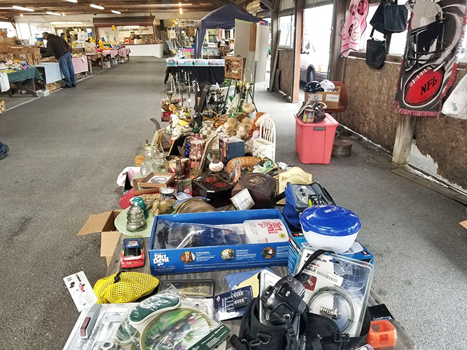 One person's random assortment is another's perfect find. This table tells the story of a thousand American garages, beautifully curated.