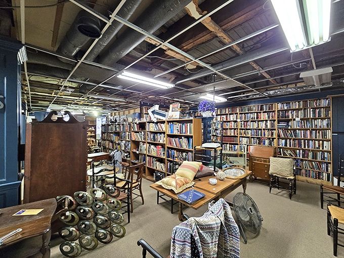 A bibliophile's dream come true – shelves upon shelves of literary treasures waiting to transport you to different eras and worlds.