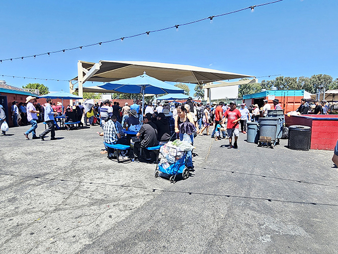 The social heart of the market, where shoppers take a breather under shade structures, planning their next bargain conquest while refueling on authentic street eats.