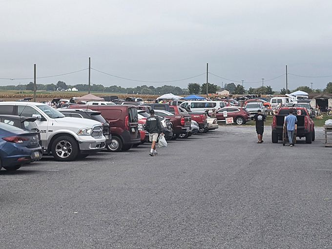 The parking lot tells the tale - when Pennsylvania's savviest shoppers converge on Tuesday mornings, you know something special awaits inside.