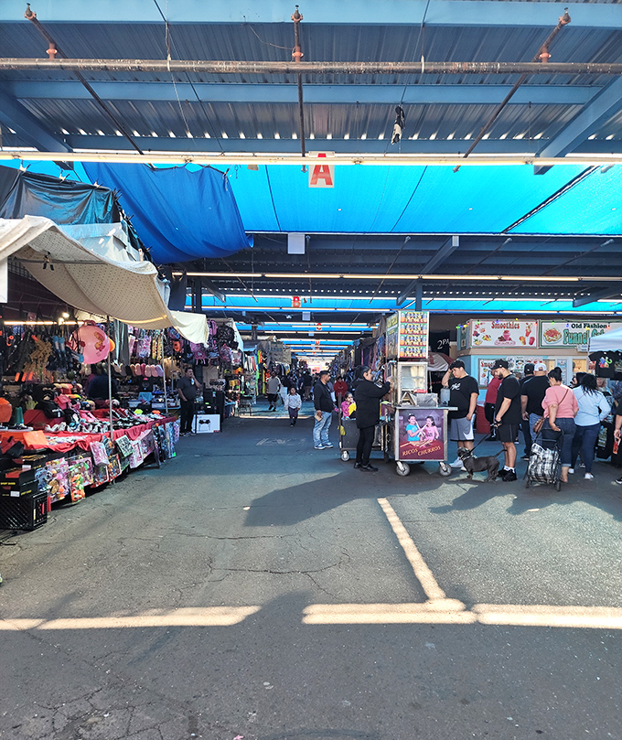 Under Phoenix's brilliant blue canopies, shoppers navigate a wonderland of merchandise while vendors eagerly await the next curious browser to stop by.