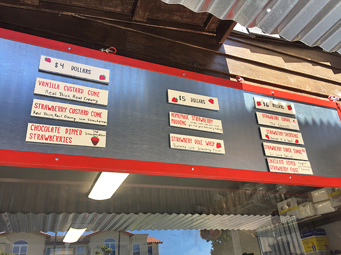 More options than a Netflix menu, but infinitely more satisfying than binge-watching reruns.