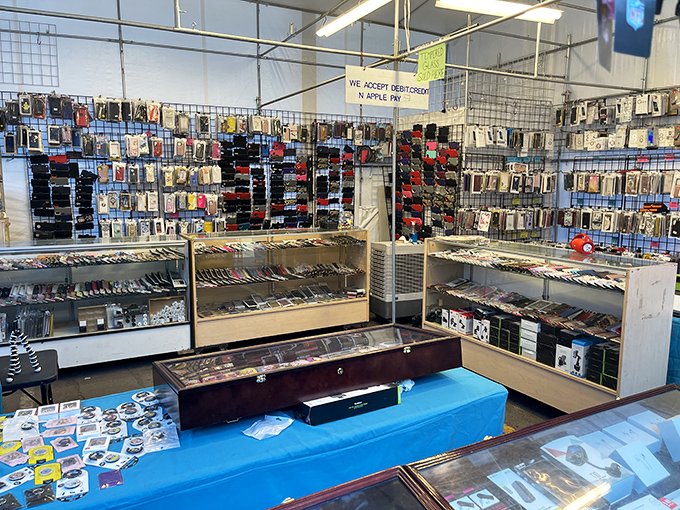 Phone accessories organized with museum-quality precision, because even your smartphone deserves a proper wardrobe upgrade.