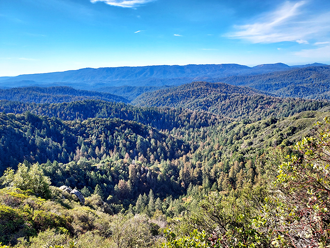 The reward for your uphill efforts. Standing here makes you feel like you're in a Windows desktop wallpaper that actually exists.