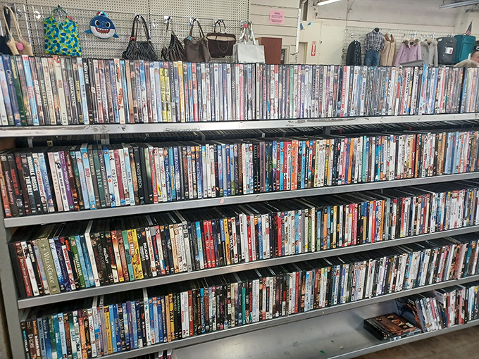 Hollywood history lines these shelves, where forgotten blockbusters and cult classics await their second act in someone's home theater collection.