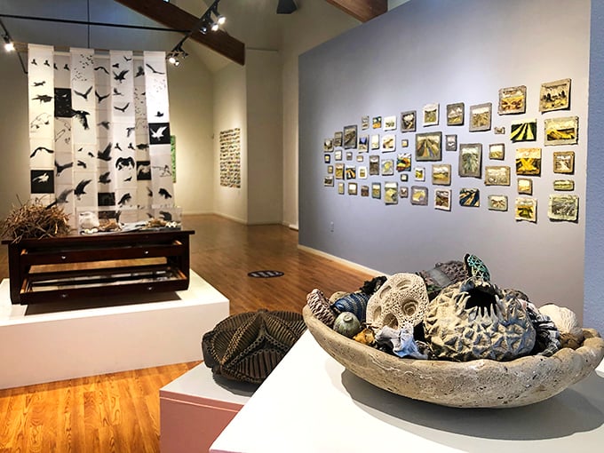 Nature's gallery: where birds take flight across gallery walls and handcrafted treasures nestle in stone bowls, inviting closer inspection.