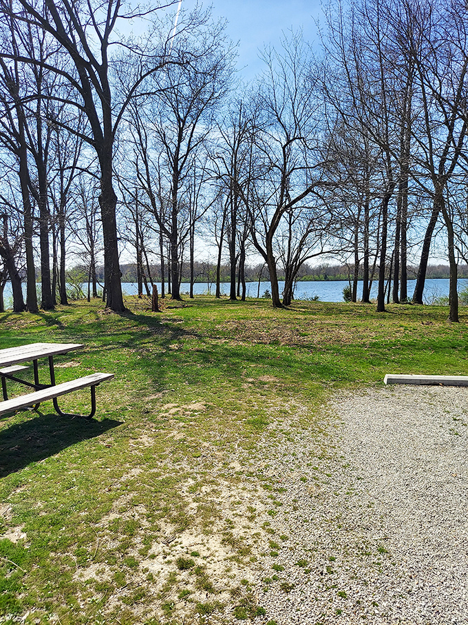Picnic tables with a water view that beats any restaurant reservation. No dress code required, just an appetite for scenery.