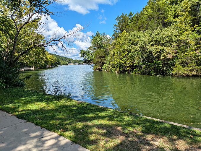 Fifty shades of green frame this emerald waterway, proving Missouri can rival any tropical paradise when she puts her mind to it.