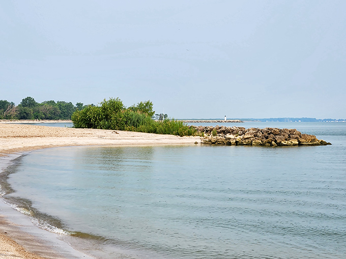 Sandy shores curve gracefully along Lake Erie's edge, creating perfect pockets for beachcombers to discover nature's treasures.