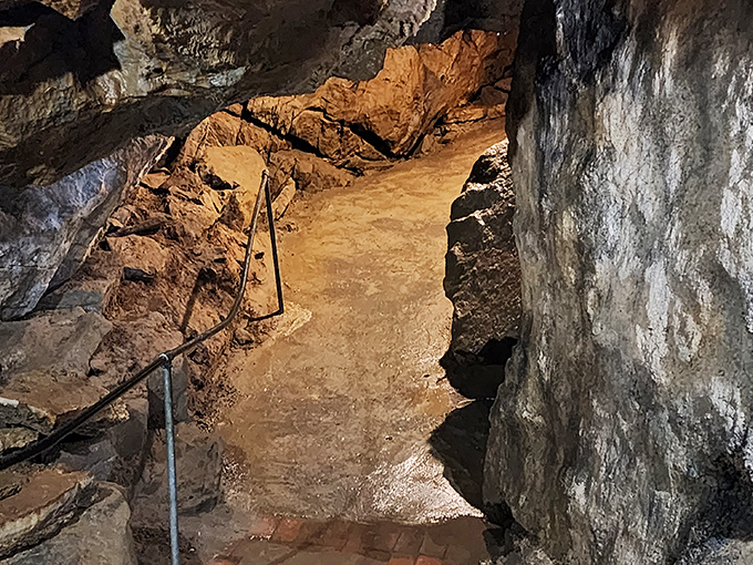 Labeled mineral displays showcase nature's chemistry lab at work. Who knew calcium could create such spectacular sculptures?