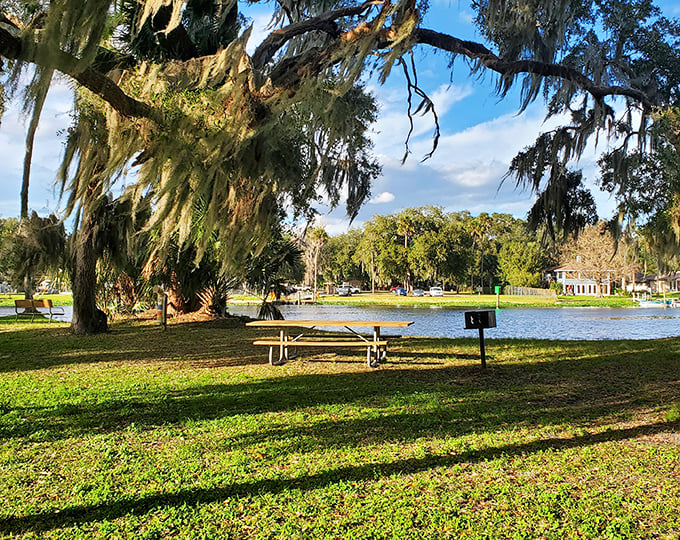 Mother Nature's living room, complete with water view and oak-shaded seating. The only thing missing is someone asking if you want the remote.
