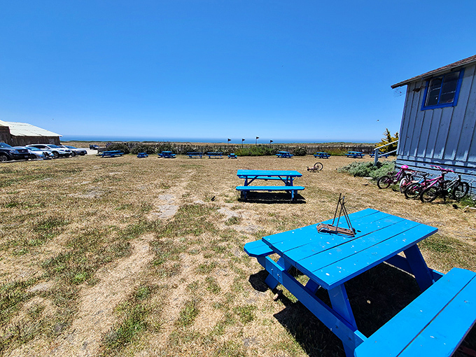 Ocean-view dining that beats any five-star restaurant. These blue picnic tables have hosted more genuine food joy than most white tablecloths ever will.