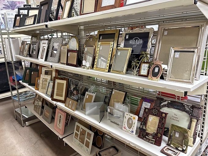 Need to frame that awkward family photo? This wall of forgotten frames might just hold the perfect gilded edge for your questionable holiday portrait.