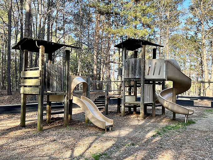 Where childhood dreams climb high and parents remember what pure joy looks like in action.