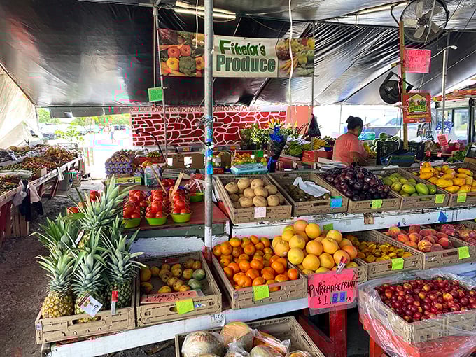 Ethel's Produce stand showcases Florida's agricultural bounty with a rainbow of fruits that traveled feet, not miles, to reach your shopping bag.