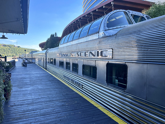 Gleaming stainless steel with a dome that promises panoramic views &ndash; this isn't just transportation, it's time travel with better legroom.