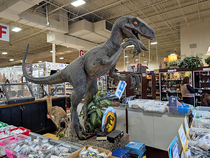 "Clever girl!" This life-sized velociraptor guards vintage treasures with prehistoric intensity. Jurassic Park meets American Pickers in this corner of the mall that spared no expense.
