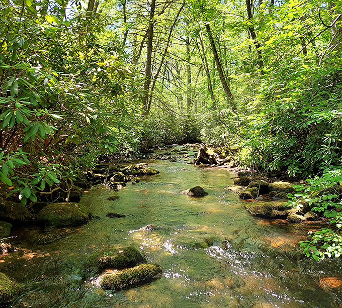 Crystal clear waters dance over moss-covered stones, creating nature's version of a meditation app &ndash; except this one actually works.