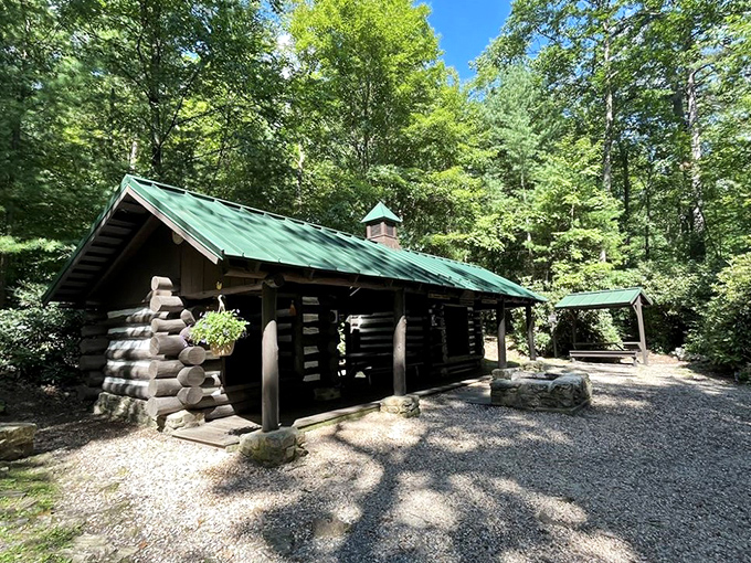 This rustic cabin proves that "roughing it" can still include a roof and actual walls.