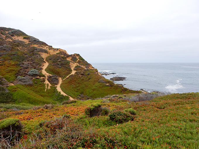 That switchback trail that makes your calves question your life choices but rewards you magnificently.