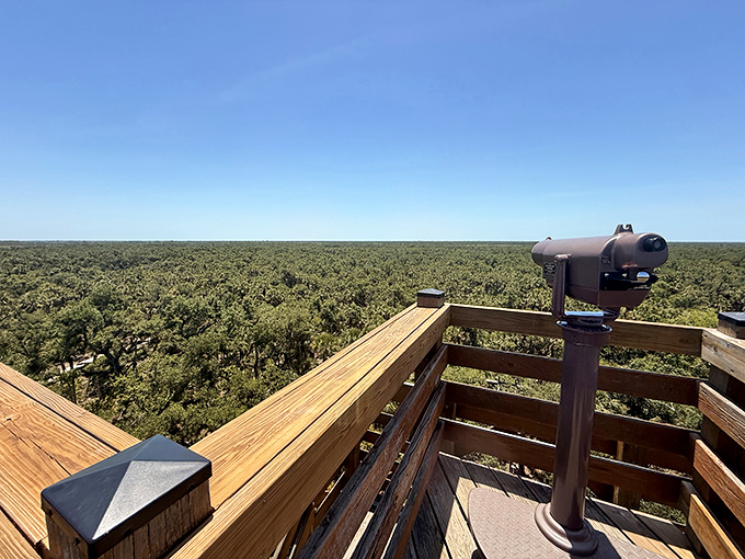 From the observation tower, Florida reveals itself as it was before Mickey Mouse moved in&mdash;an endless emerald canopy stretching to the horizon.